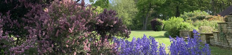 Tree Works Application Form - Farnborough Park